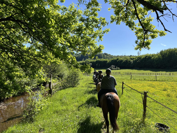 Gîte En Pleine Nature - Bouillon