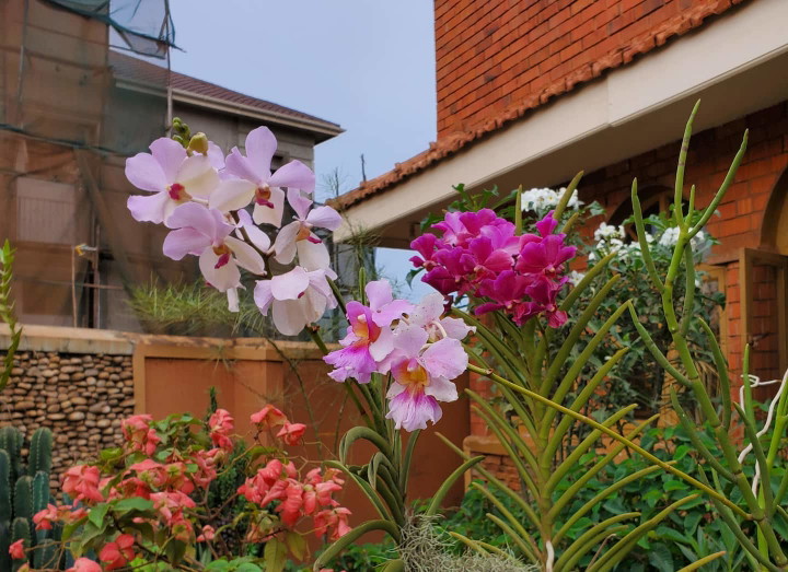 Orchid Gardens ; Studio, Minimaliste, Petit Appartement - Kampala