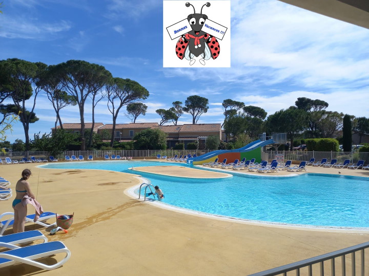 " La Coccinelle " Avec Piscine Chauffée à L'année - Calvisson