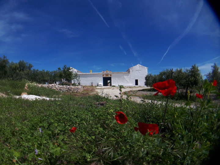Cortijo Mezquetillas - Arahal
