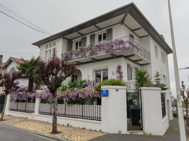 Vignes Glycine - Anglet