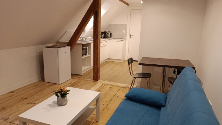 Studio Duplex Bus Direct Centre - Strasbourg