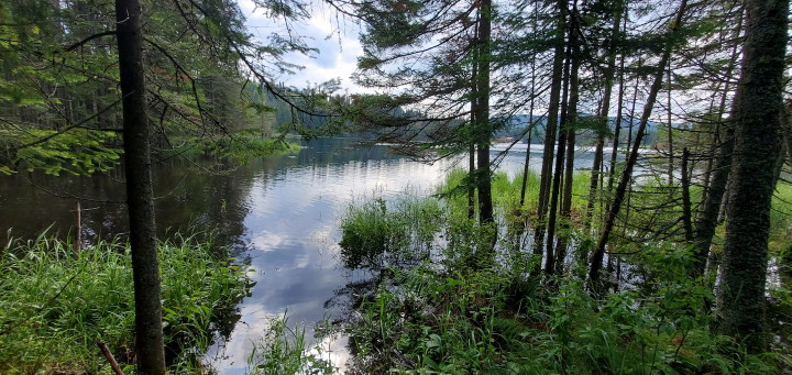 Lakeside Privacy In The Middle Of Nature In The Heart Of Laurentides - Sainte-Agathe-des-Monts