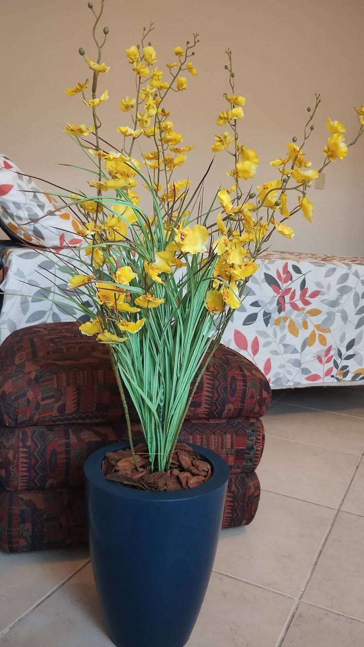 Ground Floor Apartment With Air-conditioning - Brasilia