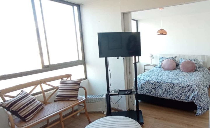 Apartment In Santiago Near The Metro - Chile
