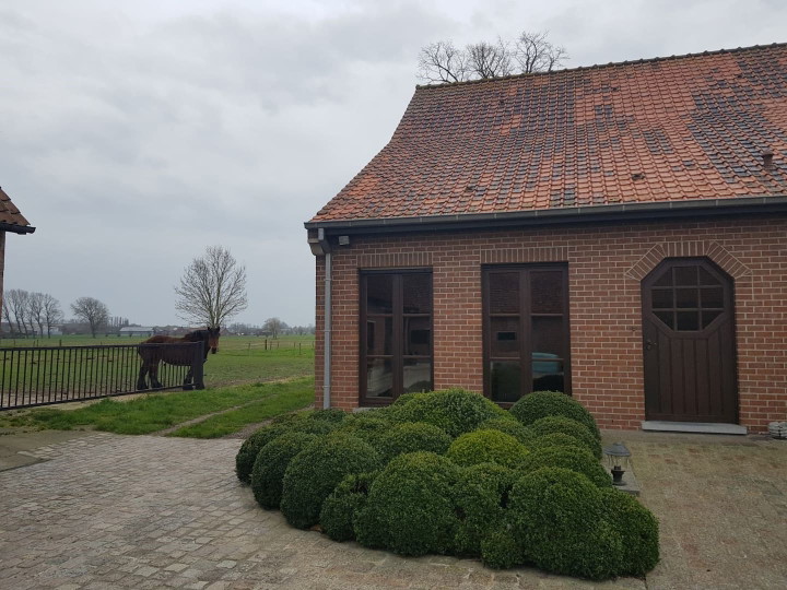 Rustig Vakantieverblijf Op Een Prachtige Hoeve! - Wevelgem