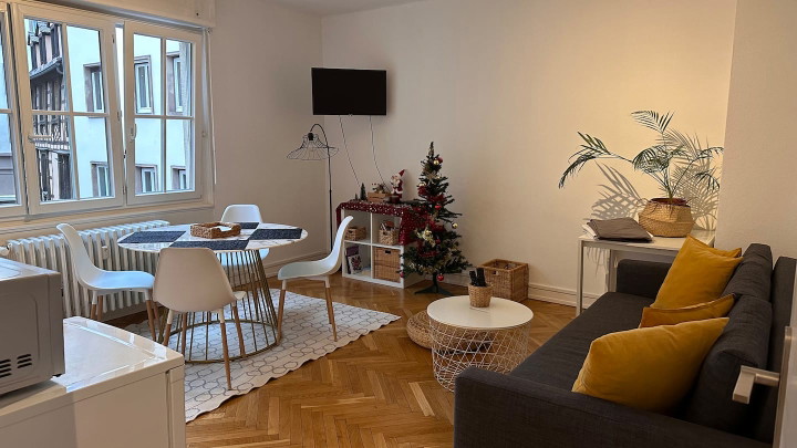 Appartement 2 Pièces Hyper Centre Strasbourg - Strasbourg