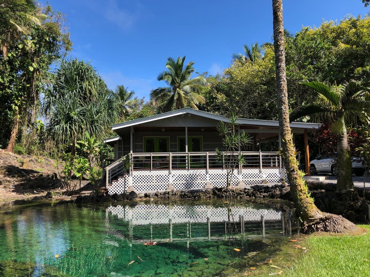 Wai 'Olena - "Healing Ponds" - Hilo, HI