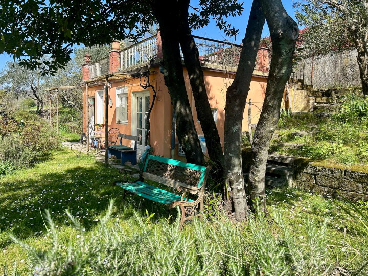 The Painter's House - Lucca