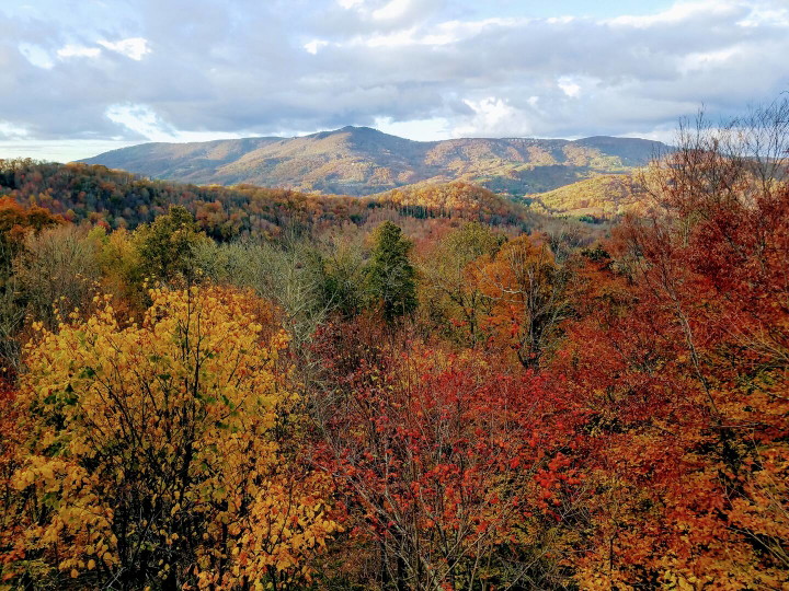 Sugar Mountain Getaway With A Sweet View! - Banner Elk