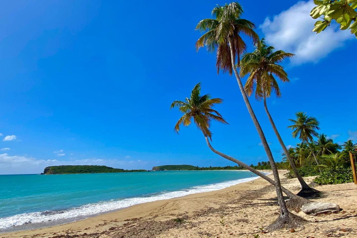 Casa D' Loren - Stunning Ocean Views In Vieques - Vieques