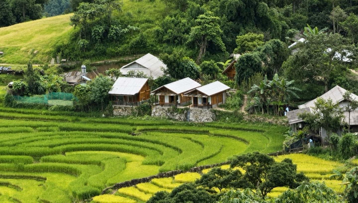 Bliss Wooden Bungalow Valley View - Vietnam