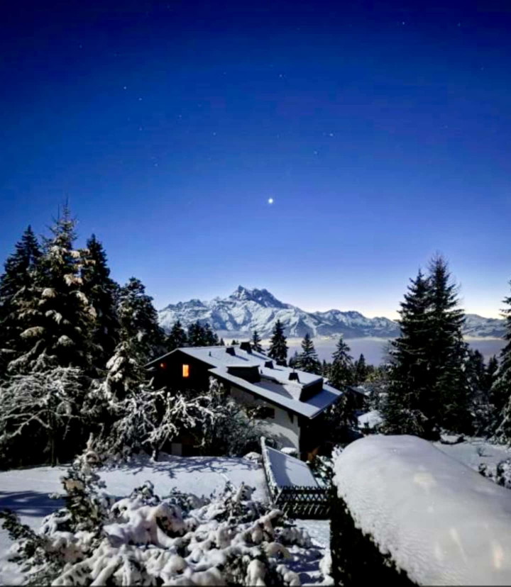 The Vista Chalet - Gryon