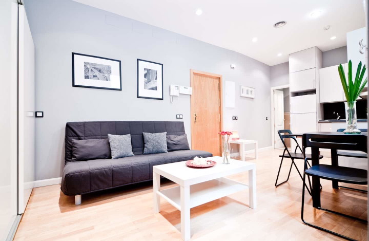 Plaza Mayor · 1 Bedroom & Sofa Bed - Madrid