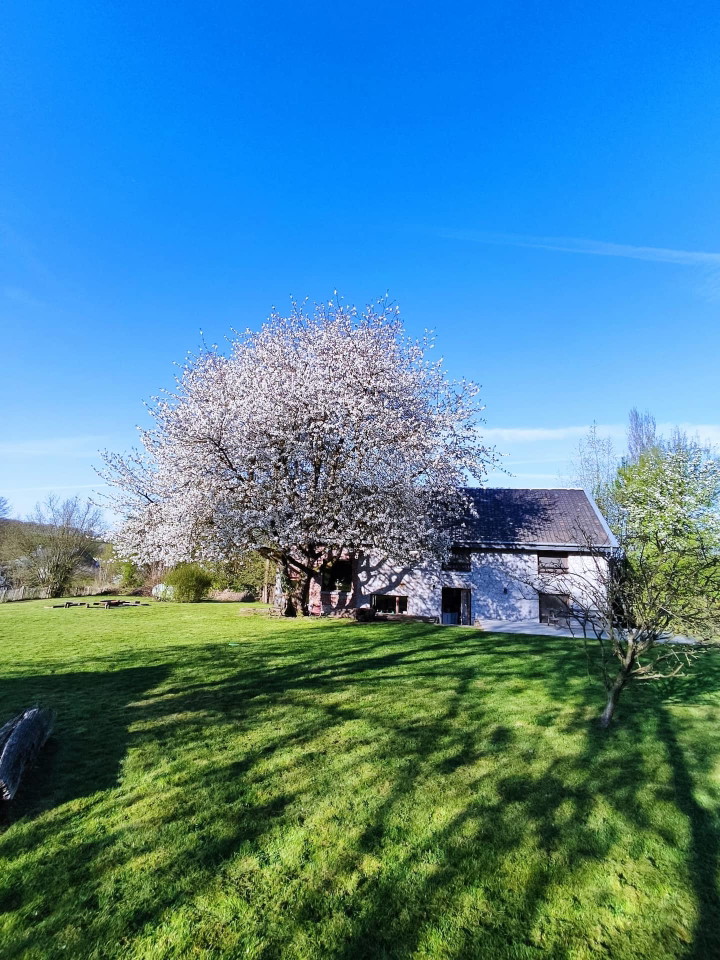 Gerenoveerde Hoeve Met Mooi Uitzicht - Durbuy