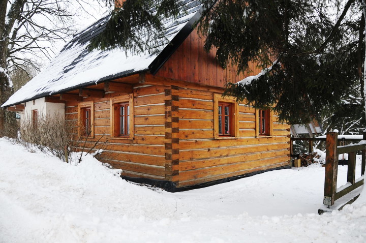 Classic Wooden Cabin With Fireplace - チェコ