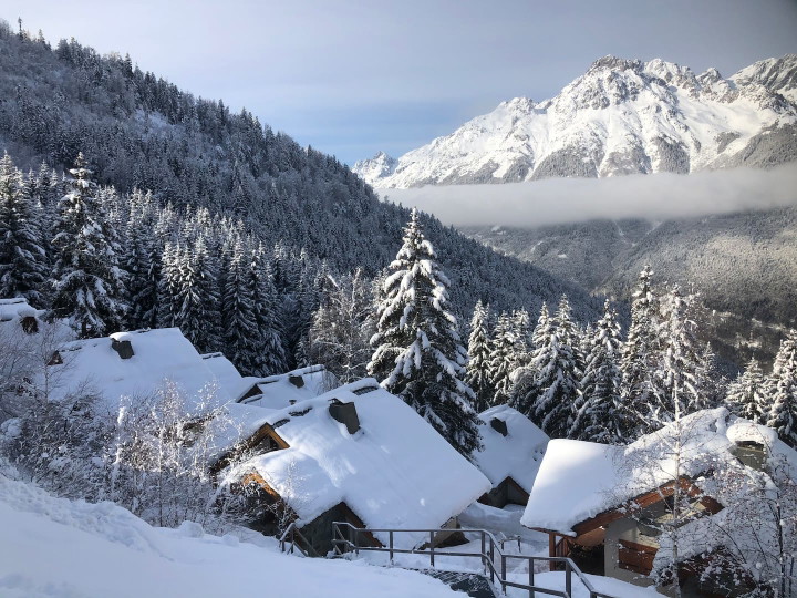 Chalet 8 Personnes Domaine Alpes-huez/oz3330 - L'Alpe d'Huez