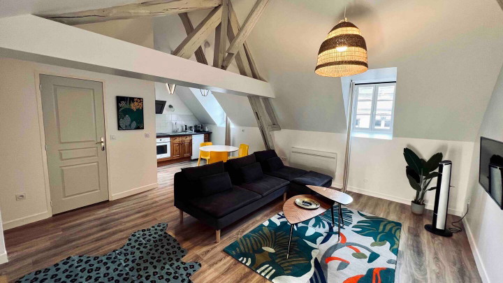 Rhizhome - Coeur De Ville, Appartement Spacieux - Auxerre