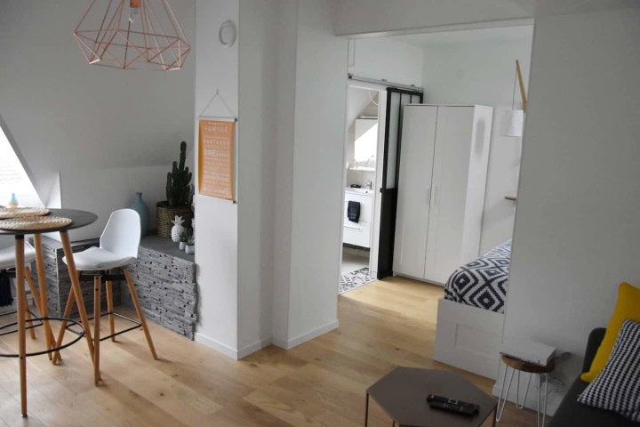 Appartement Strasbourg Hyper Centre - Strassburg