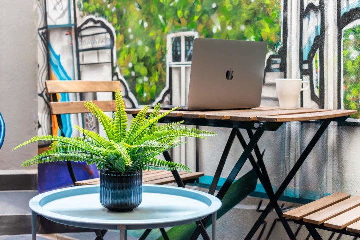 Spectaculaire Appartement Avec Terrasses à Condesa - Mexico City