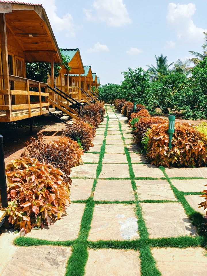 Nenapu Resorts|family & Group Getaway Dodaballpura - Nandi Hills