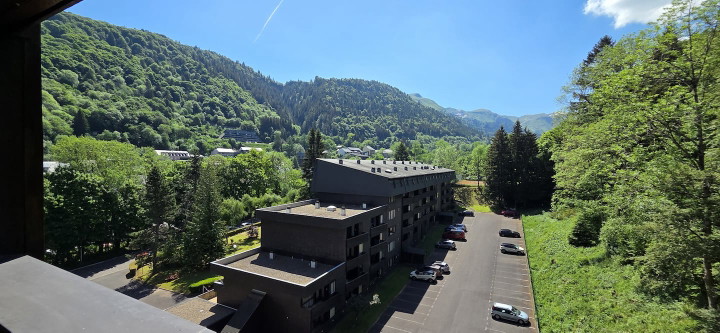T2 Classé 2*-vue Sur Montagne, Parking Privé, Wifi - Chastreix