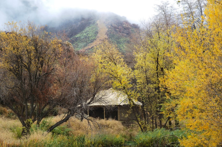 Ojai Fish Camp At Rancho Grande - オーハイ, CA