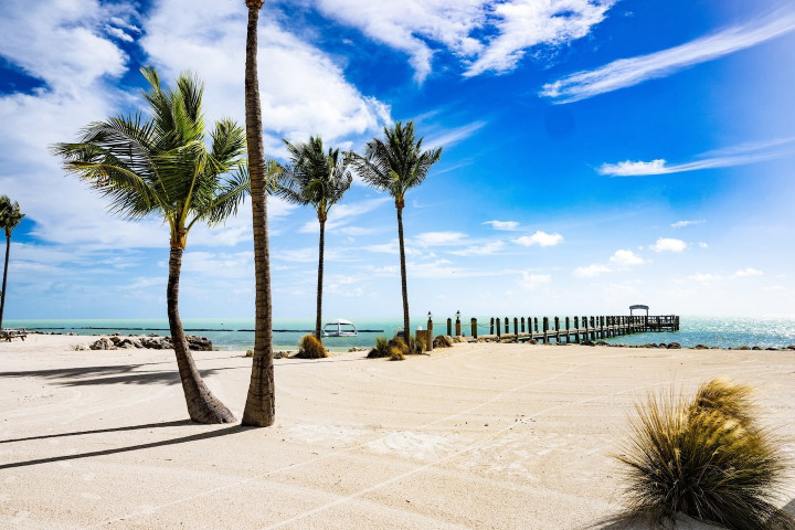 2 Units | 6 Mi To Robbies | Fish Feeding & Boating - Islamorada, FL