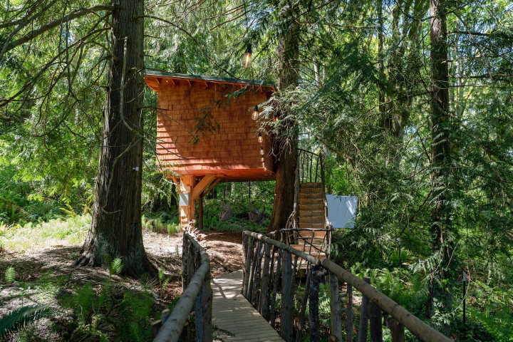 Owl's Nest Treehouse Cabin - Sequim, WA