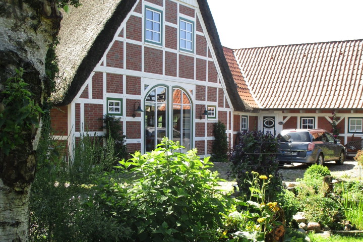 Ritschermoor, Idylle Zwischen Elbe Und Moorwiesen - Allemagne