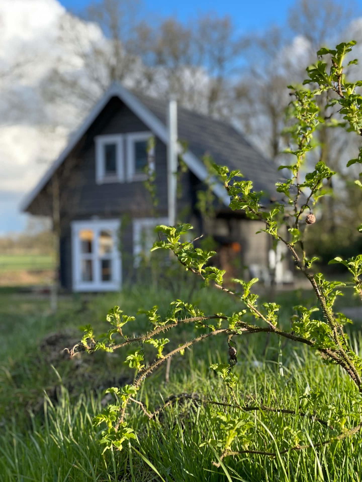 Haus Am See @Mollbue10 - Nordsee