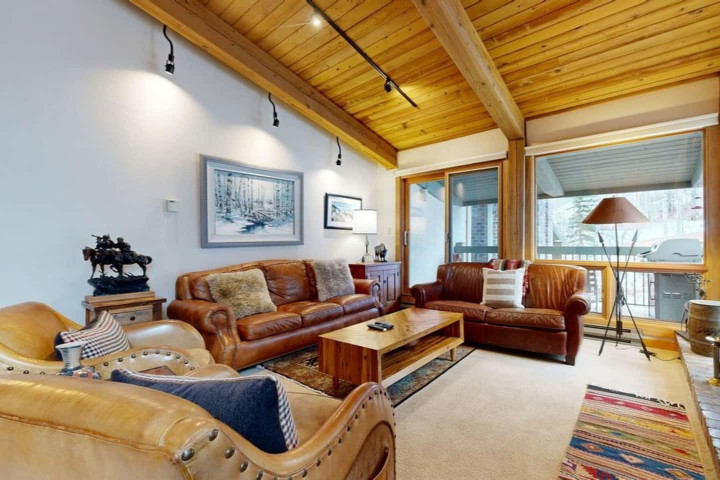 Ski-in/ski-out,pool,ht,parking,grill - Aspen, CO