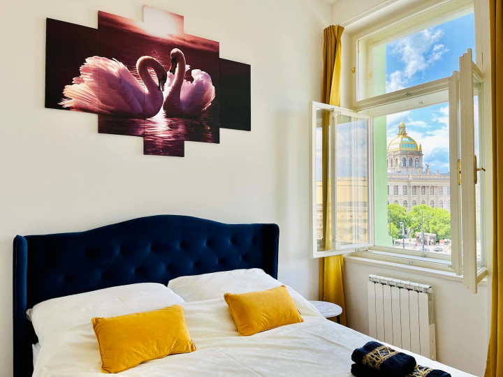 Royal Historical Apartment In Prague 2 -