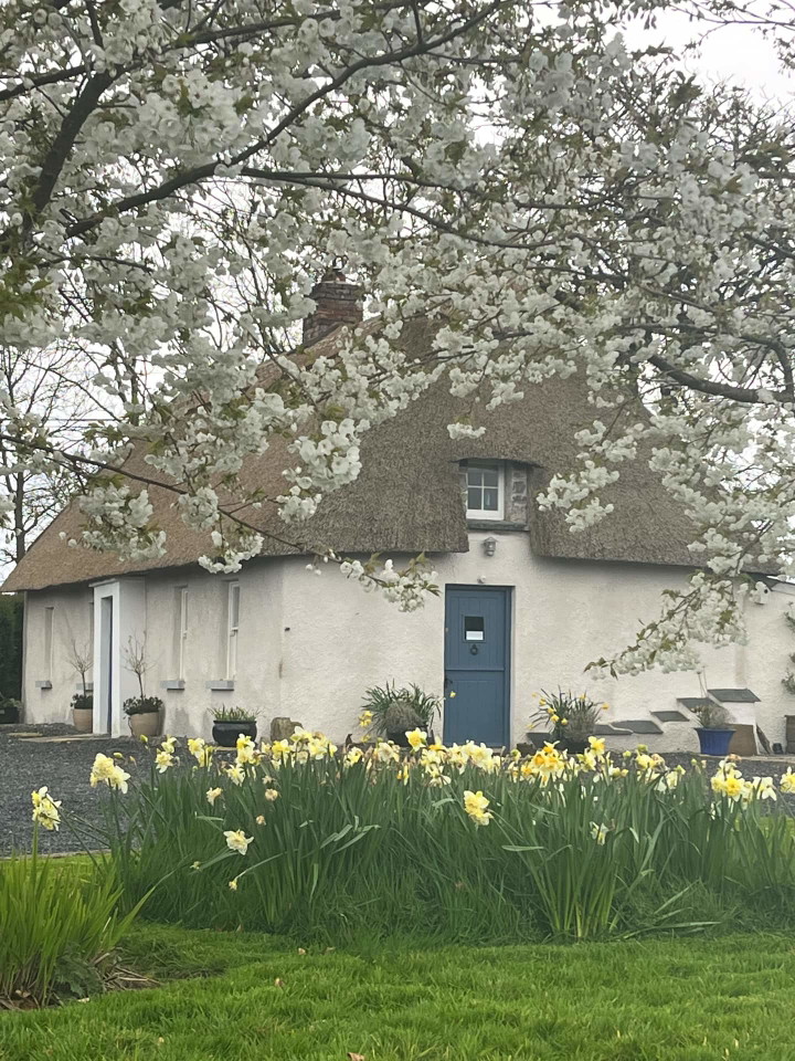 Irish Thatched Farm Cottage - Tipperary