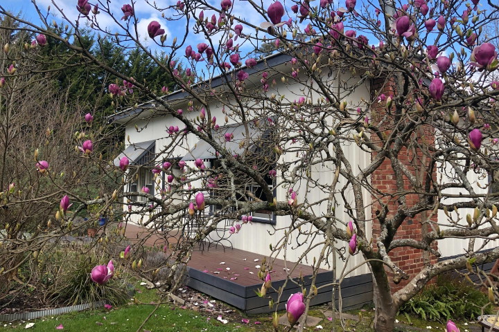 Bird Hill - A Garden Retreat In The Yarra Valley - Get Up Close To Native Birds - Healesville