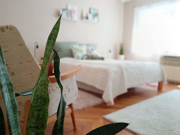 Tulipán Apartman - Békéscsaba
