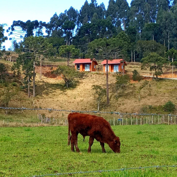Lua Cabin - Urubici