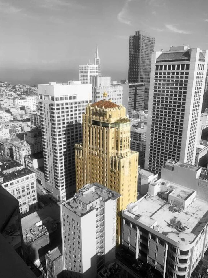 4 Classy Units! Near Crissy Field East Beach - San Francisco, CA