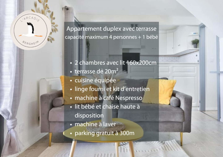 Arcadie -Duplex -Terrasse -Clim - Route Des Vins - Bergheim, France