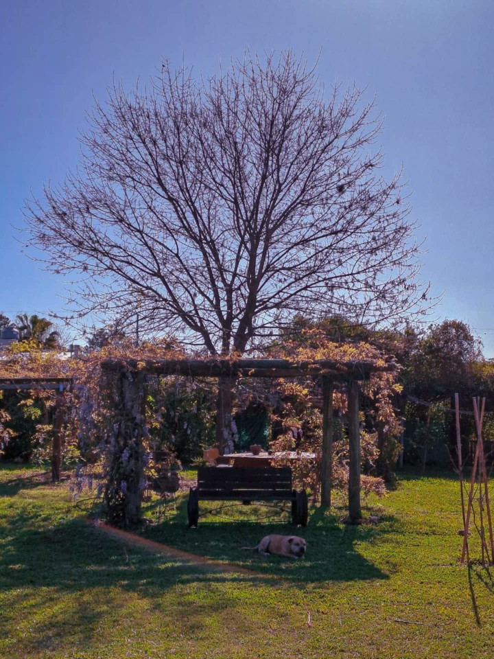 Rincón Campestre
Disfrute De La Naturaleza Y Relax - Concordia