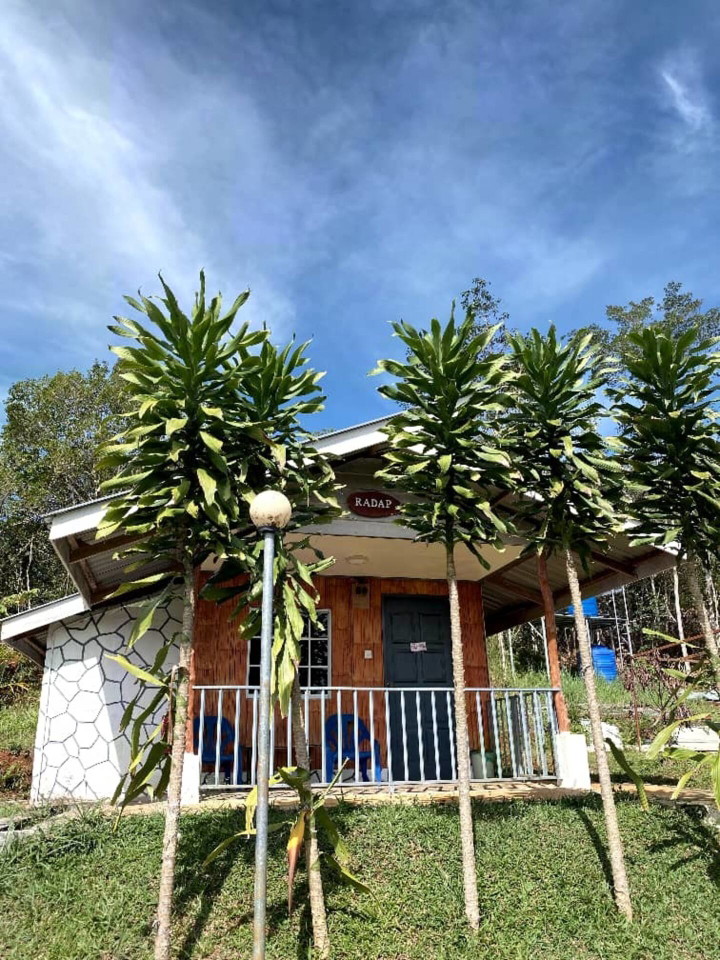 Tudangan Little Village (Radap Lodge) - Ranau