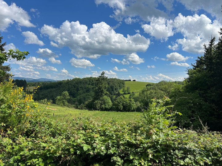 Grand Gîte A La Campagne Dans La Loire Au Calme - Roanne