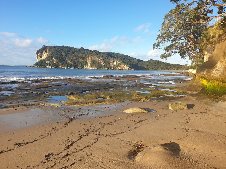 Ferry Landing Bed And Breakfast - Whitianga