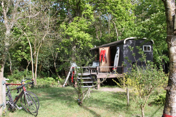 La Sud Woonwagen Aan De Bosrand - De Koog