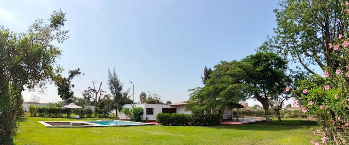 Disfruta De Exclusiva Casa De Campo Con Piscina - Huacho