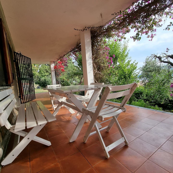 House Among Olive Trees And The Sea. - Andora