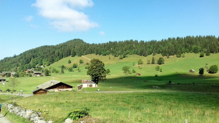 La Randonnee - La Clusaz