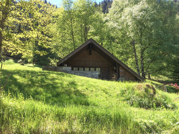Chalerino, Refuge De Montagne à L'orée De La Forêt - Andermatt
