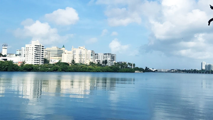 Vibrant Modern Apartment In The Heart Of Condado - Puerto Rico