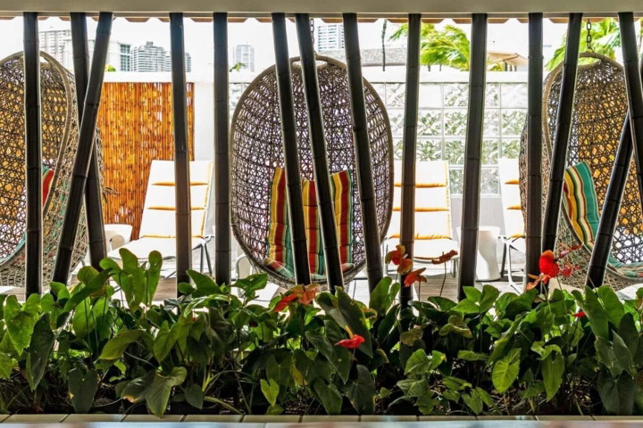 Wake Up To Tropical Views! 4 Units W/ Free Bfast! - Honolulu, HI